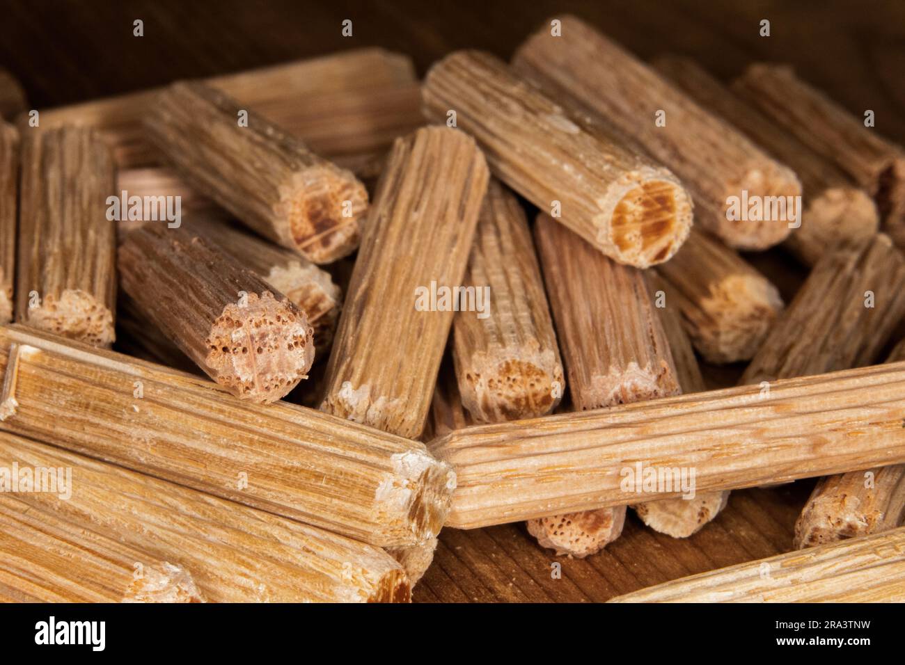 Oak dowel pins hi-res stock photography and images - Alamy
