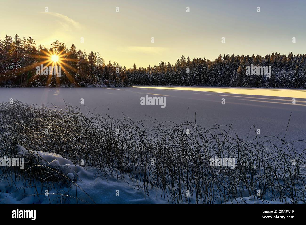 Etang de la gruère winter hi-res stock photography and images - Alamy