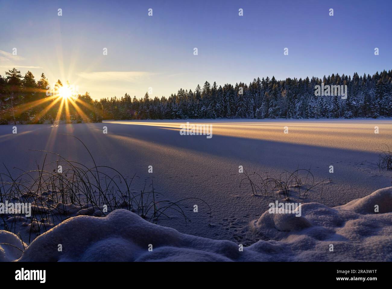 Wintry sunrise at the Étang de la Gruère in the western Swiss Jura ...