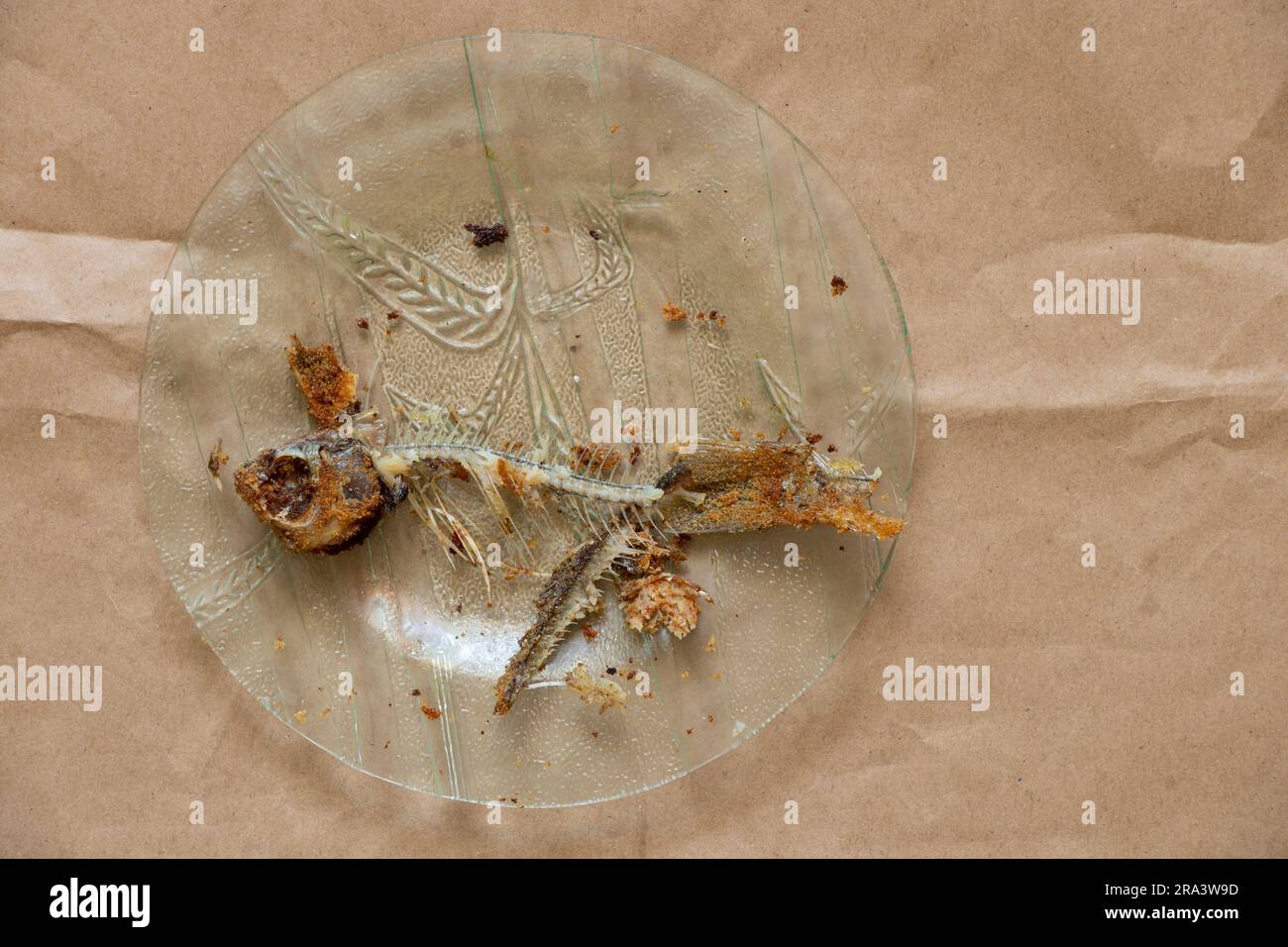 Fish head and body bones hi-res stock photography and images - Alamy