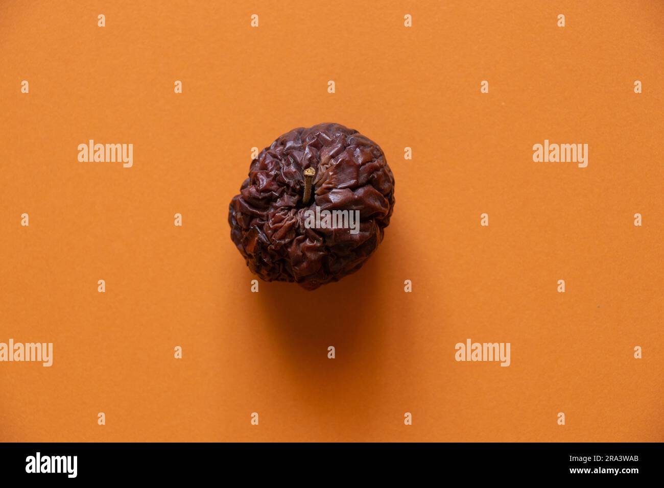 rotten red apple lies on a brown background close-up, rotten apple ...