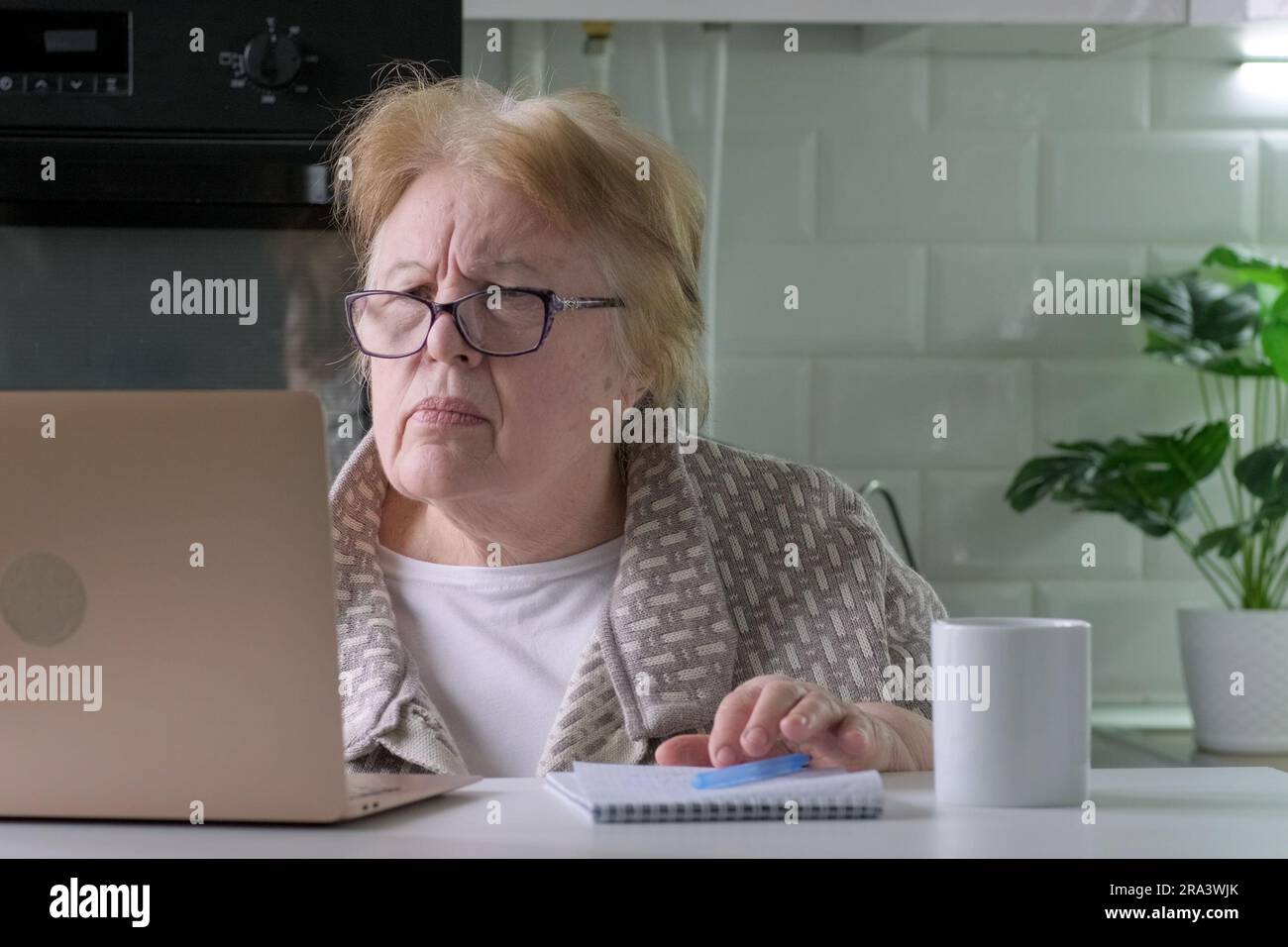 Focused grandma in glasses using computer laptop at home Stock Photo ...