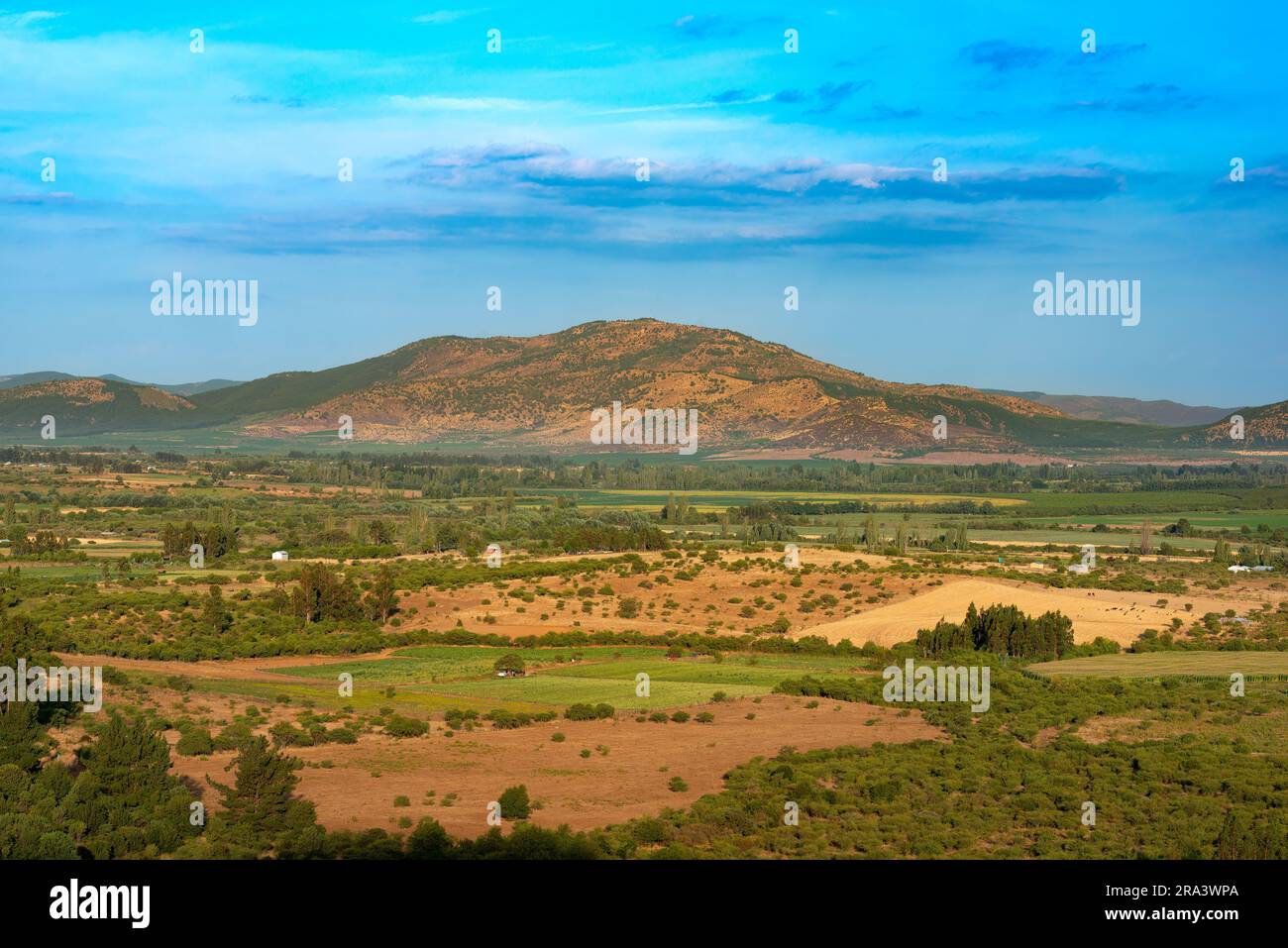 Crop fields and farms at Region del Maule in southern Chile Stock Photo ...