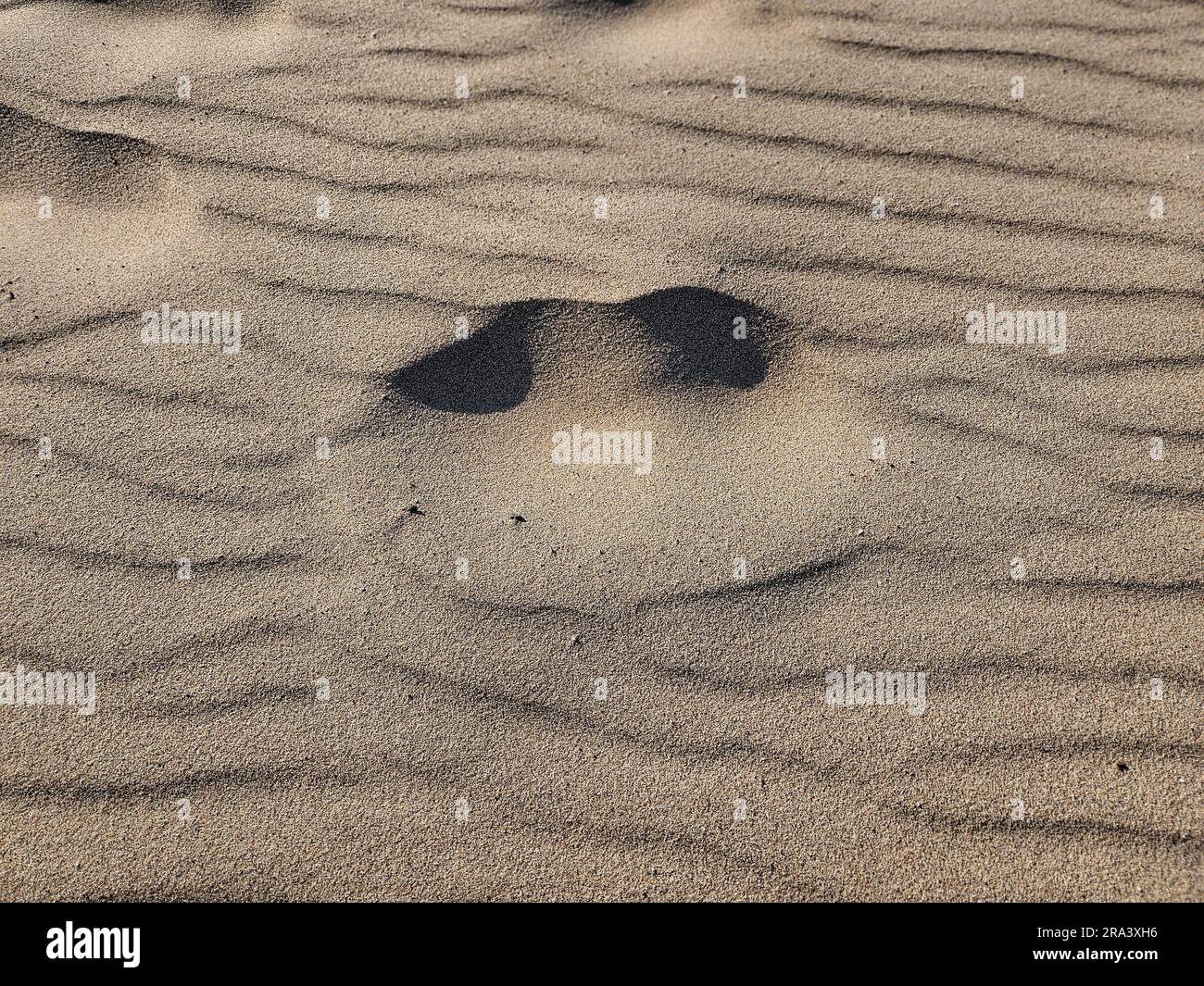 Unique sand pattern with deep-set eyes and smile Stock Photo - Alamy