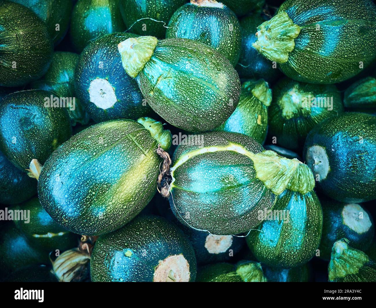 Small green courgettes Stock Photo - Alamy