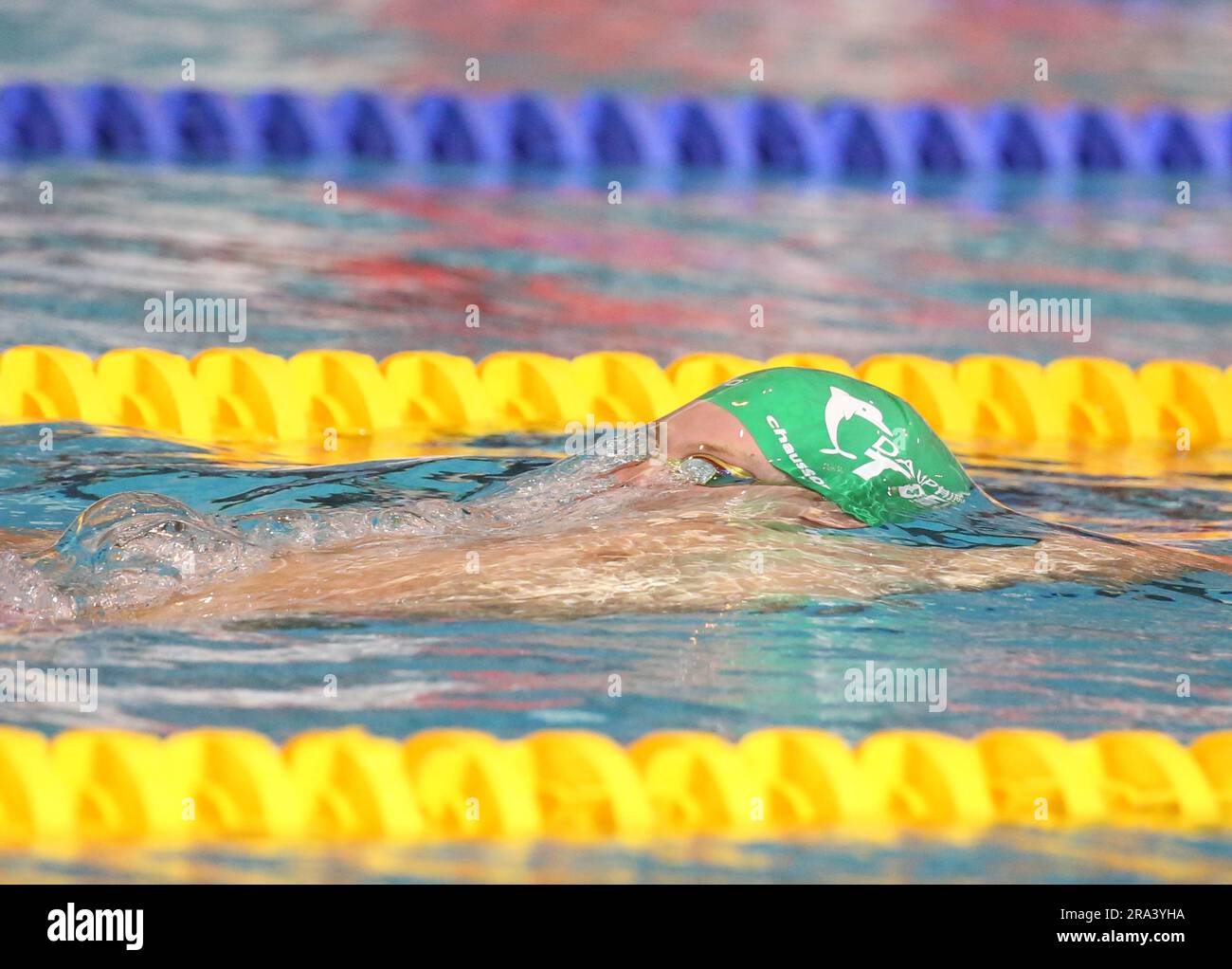 Leon Marchand, Men Final 400 M Medley during the French Elite Swimming ...