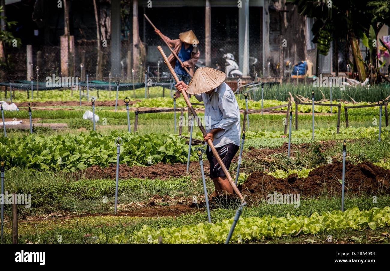 Vietnamese farmers irrigation hi-res stock photography and images - Alamy