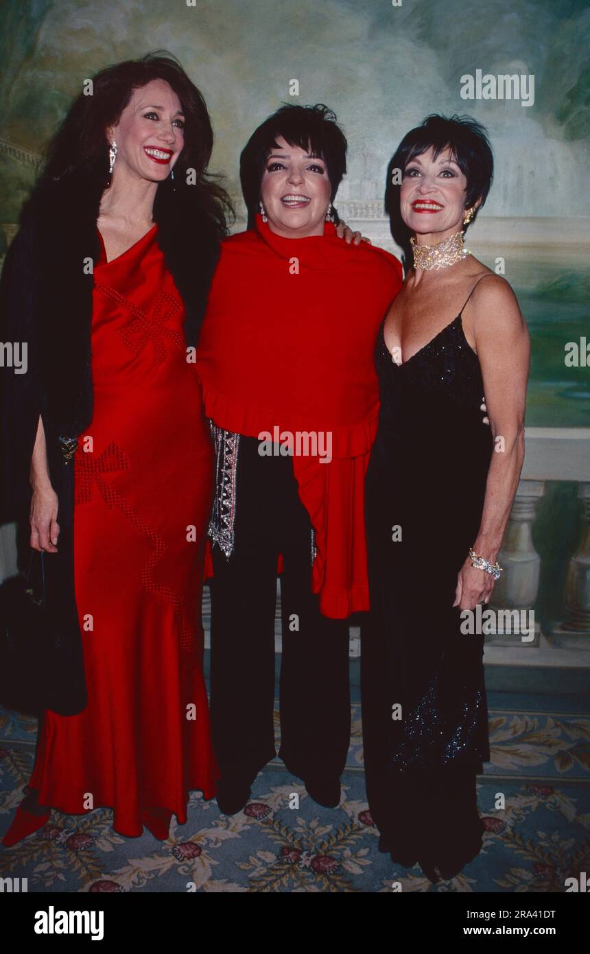 Marisa Berenson, Liza Minnelli and Chita Rivera attend The Drama League ...