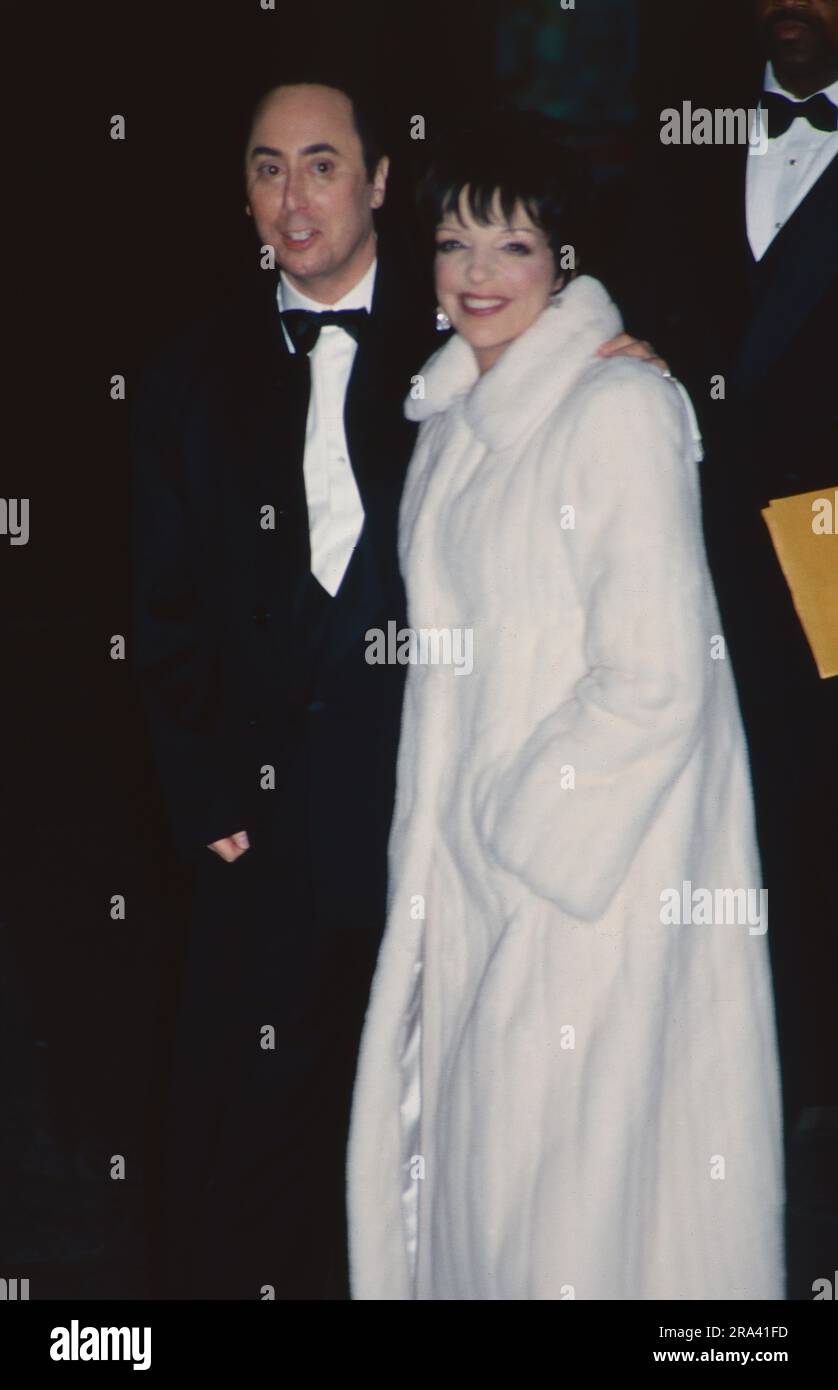 Liza Minnelli Wedding