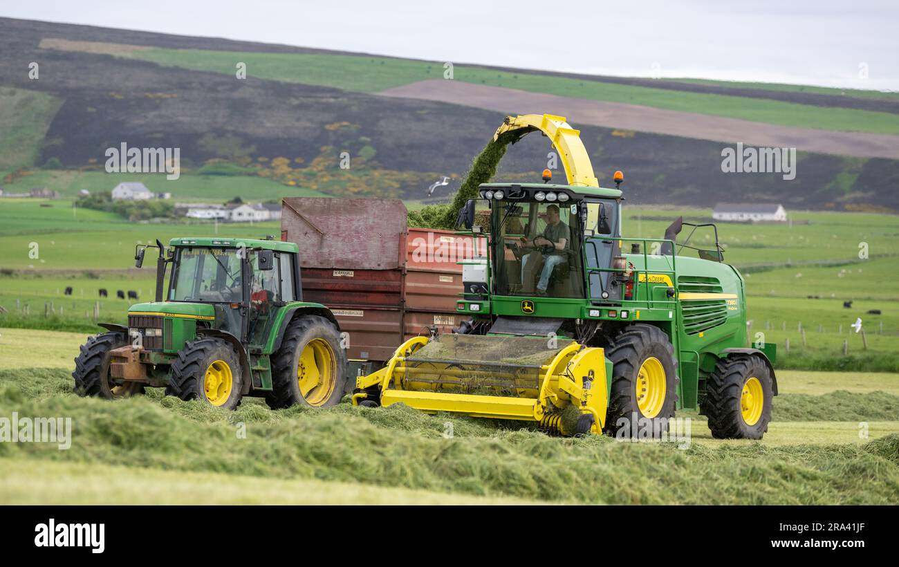 Silage making at a dairy farm on the Orkney Island with a John Deere ...