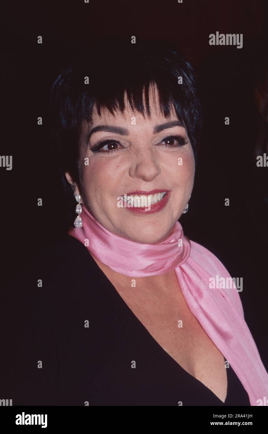 Liza Minnelli attends the opening night party for "Minnelli on Minnelli ...