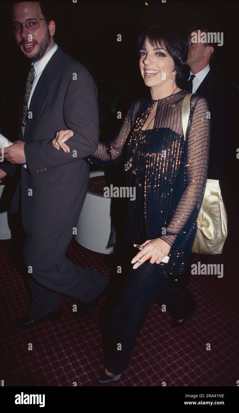 Liza Minnelli and Billy Stritch attend a performance of "Victor ...