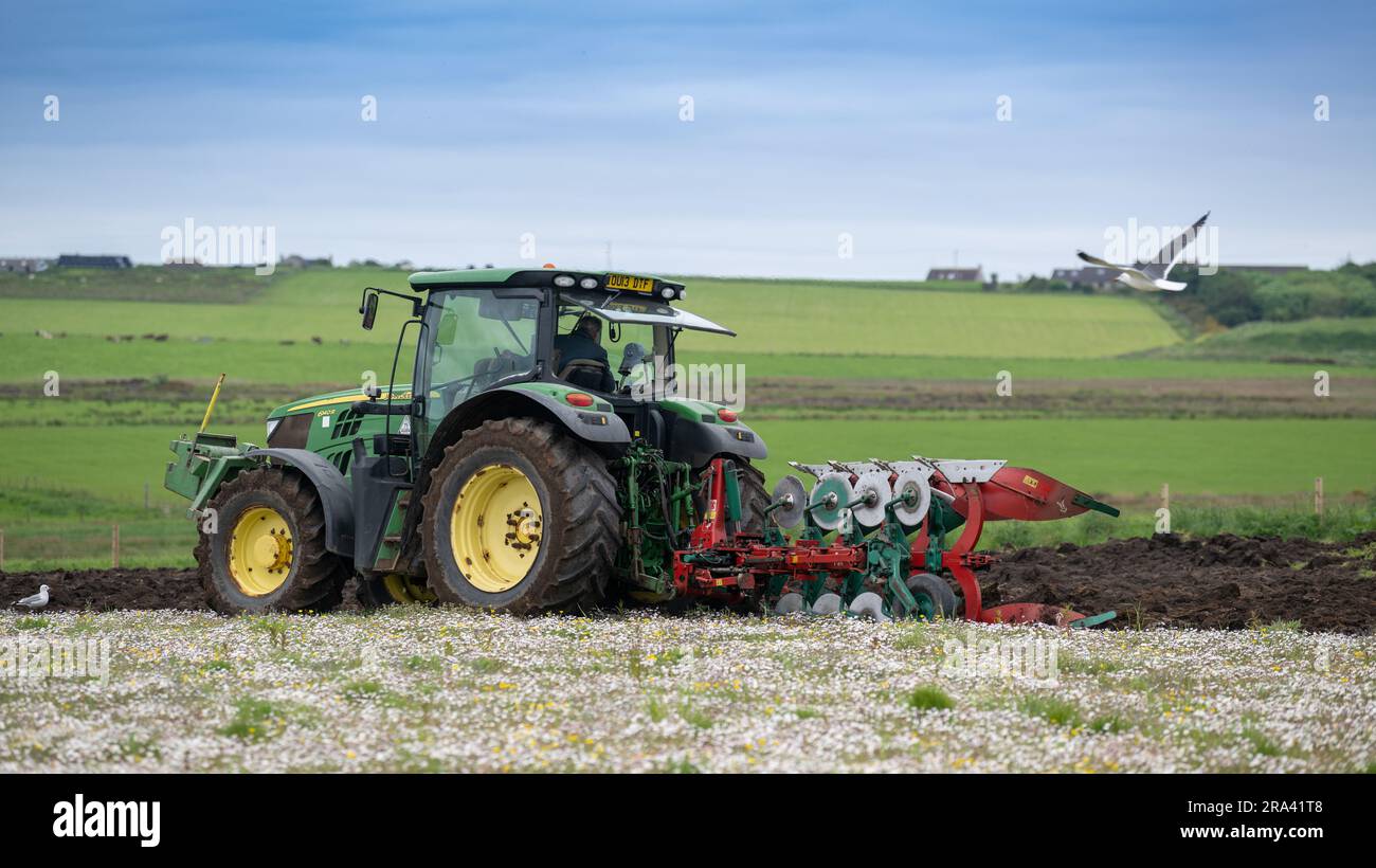 Using a tractor and 4 furrow plough hi-res stock photography and images - Alamy