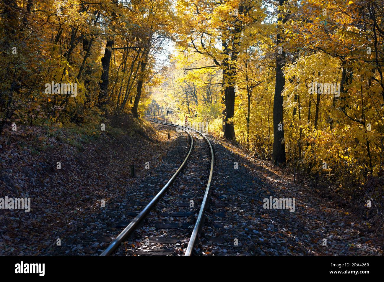 Railroad track in forest curve hi-res stock photography and images - Alamy