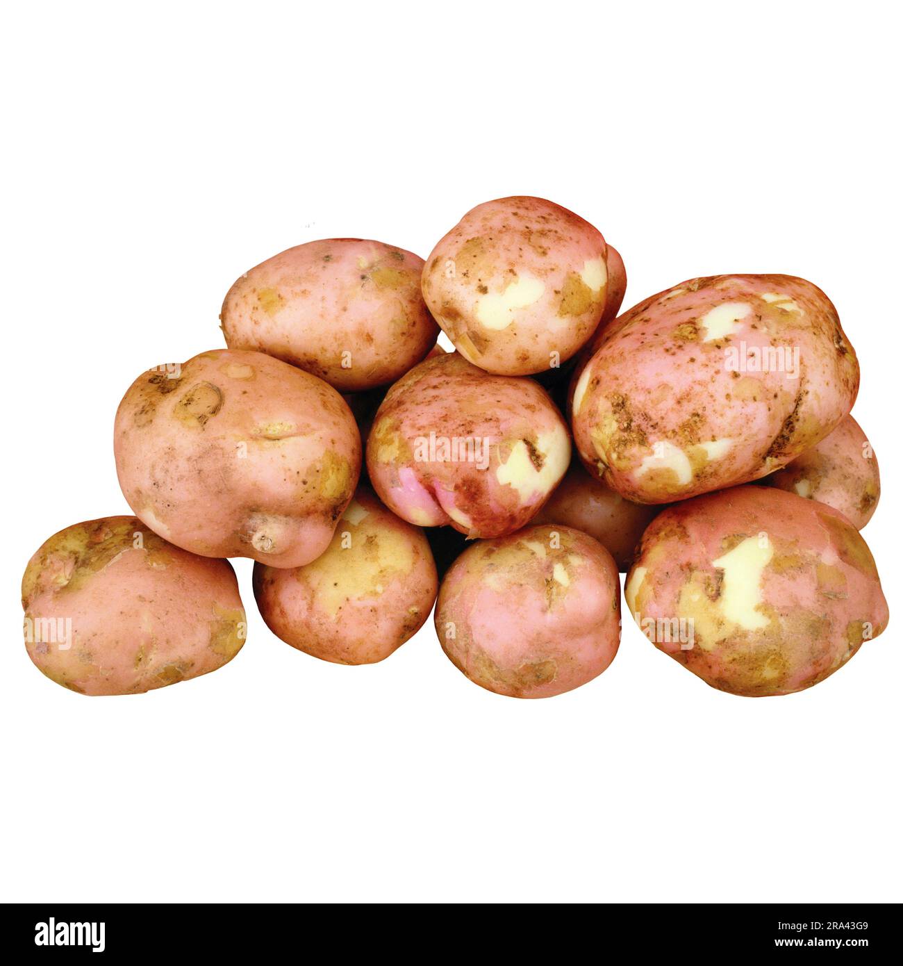 Half close view Cut Out Stock Images & Pictures - Alamy