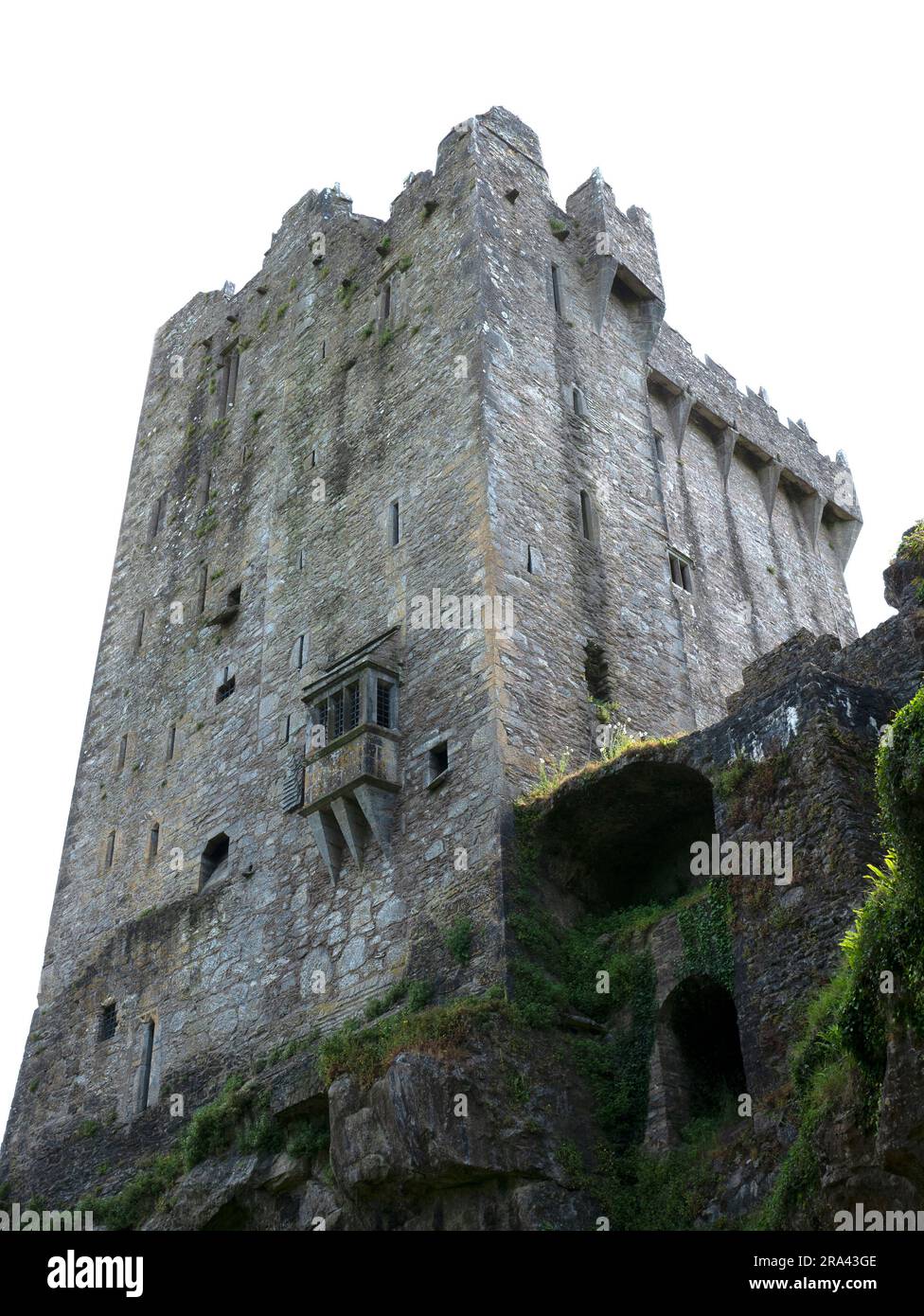 Old celtic castle tower isolated over white background, Blarney castle ...