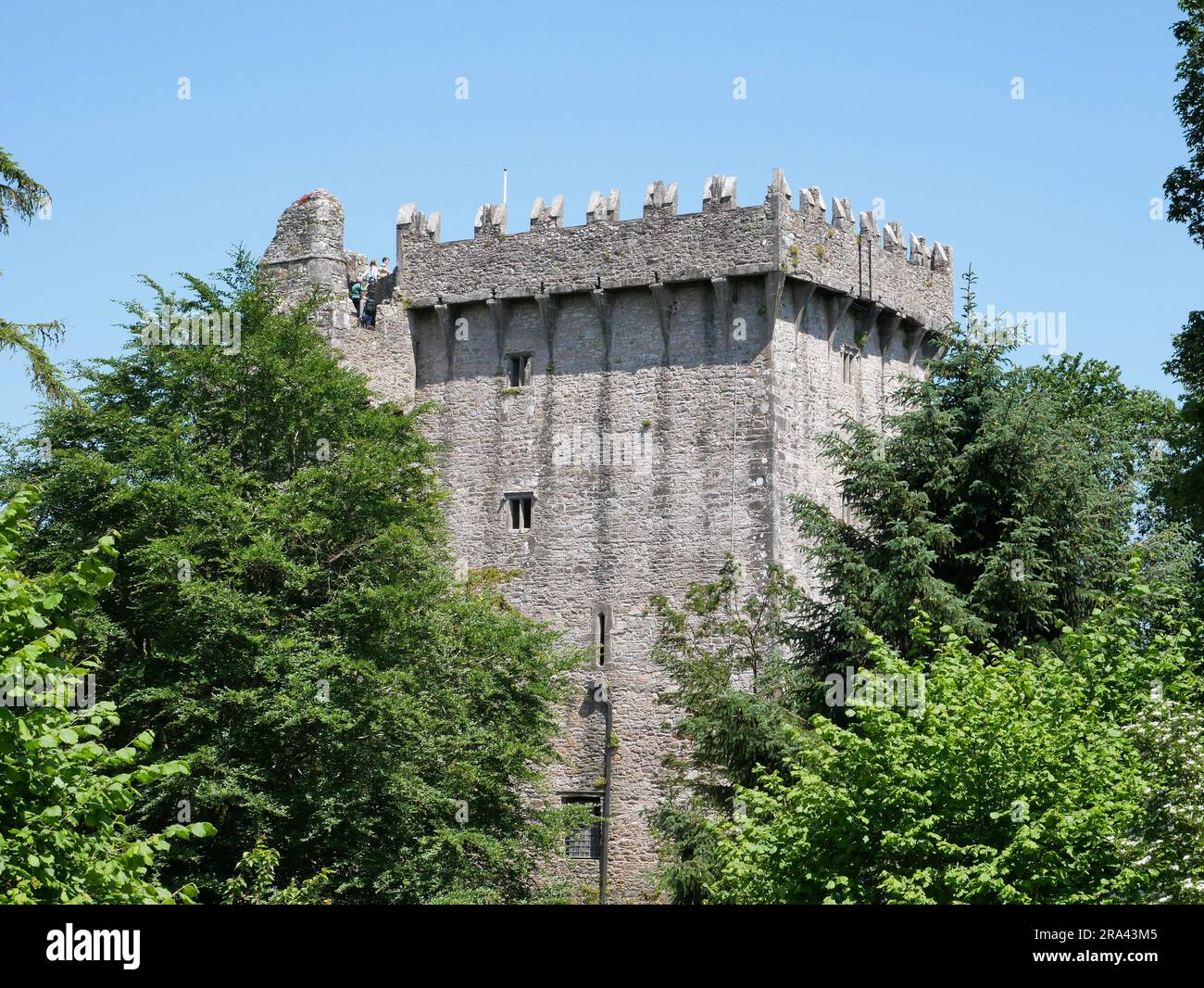Old celtic castle tower in the trees, Blarney castle in Ireland, old ...