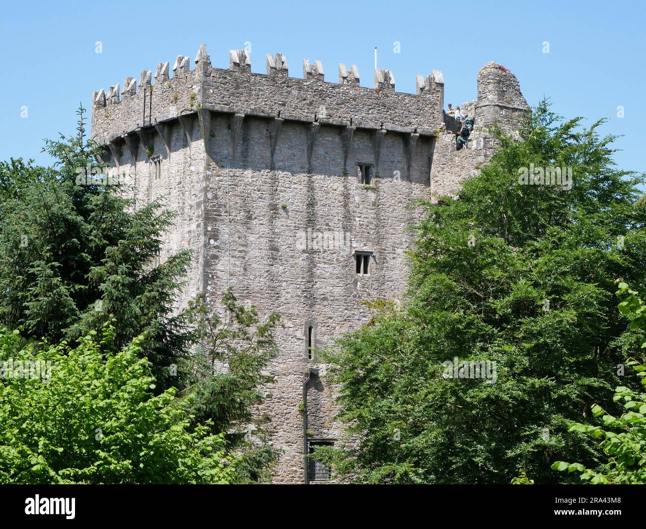 Old celtic castle tower in the trees, Blarney castle in Ireland, old ...