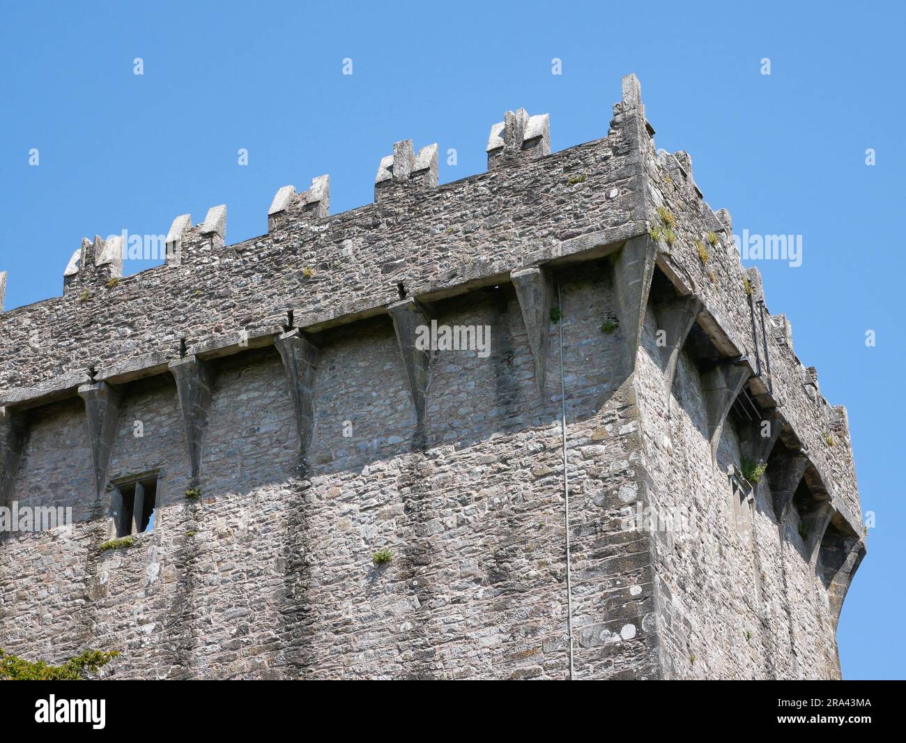 Old celtic castle tower, Blarney castle in Ireland, old ancient celtic ...