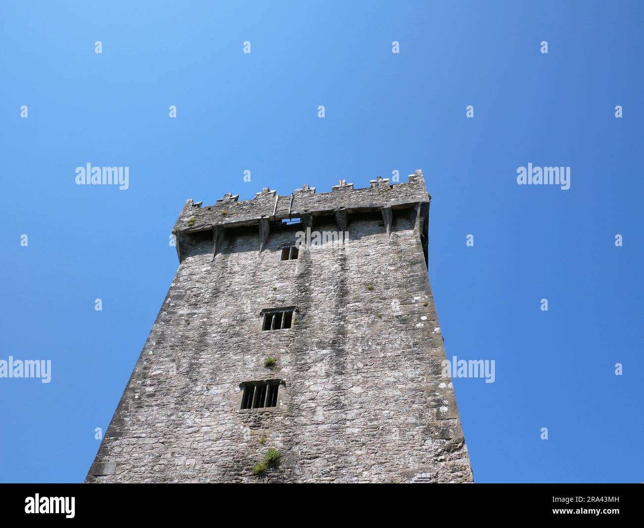 Old celtic castle tower, Blarney castle in Ireland, old ancient celtic ...