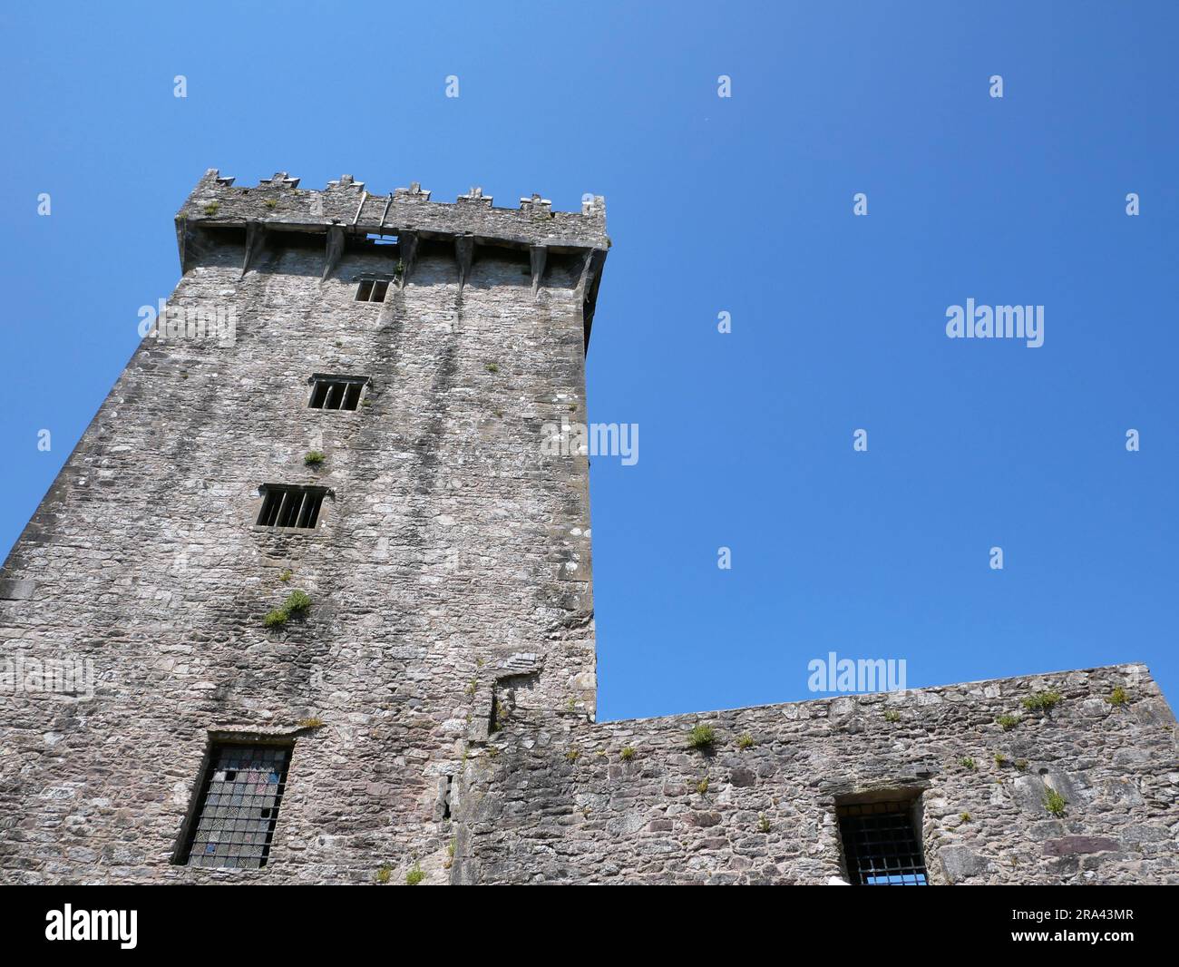 Old celtic castle tower, Blarney castle in Ireland, old ancient celtic ...