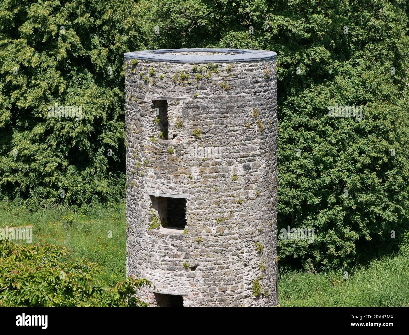 Fortress among trees hi-res stock photography and images - Alamy