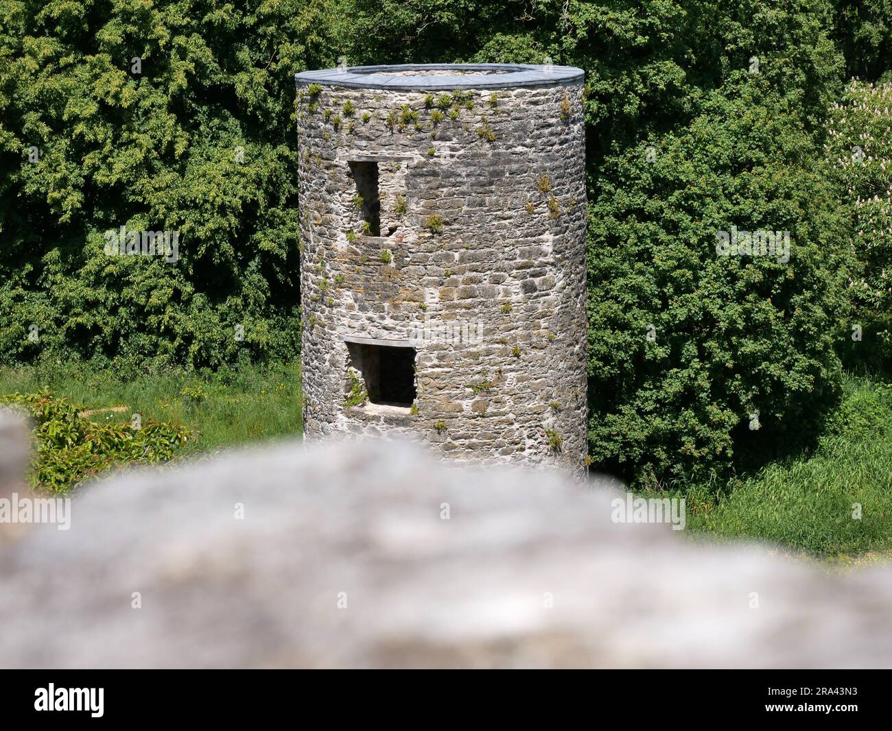 Old celtic castle tower among the trees with blurred stone in the front ...
