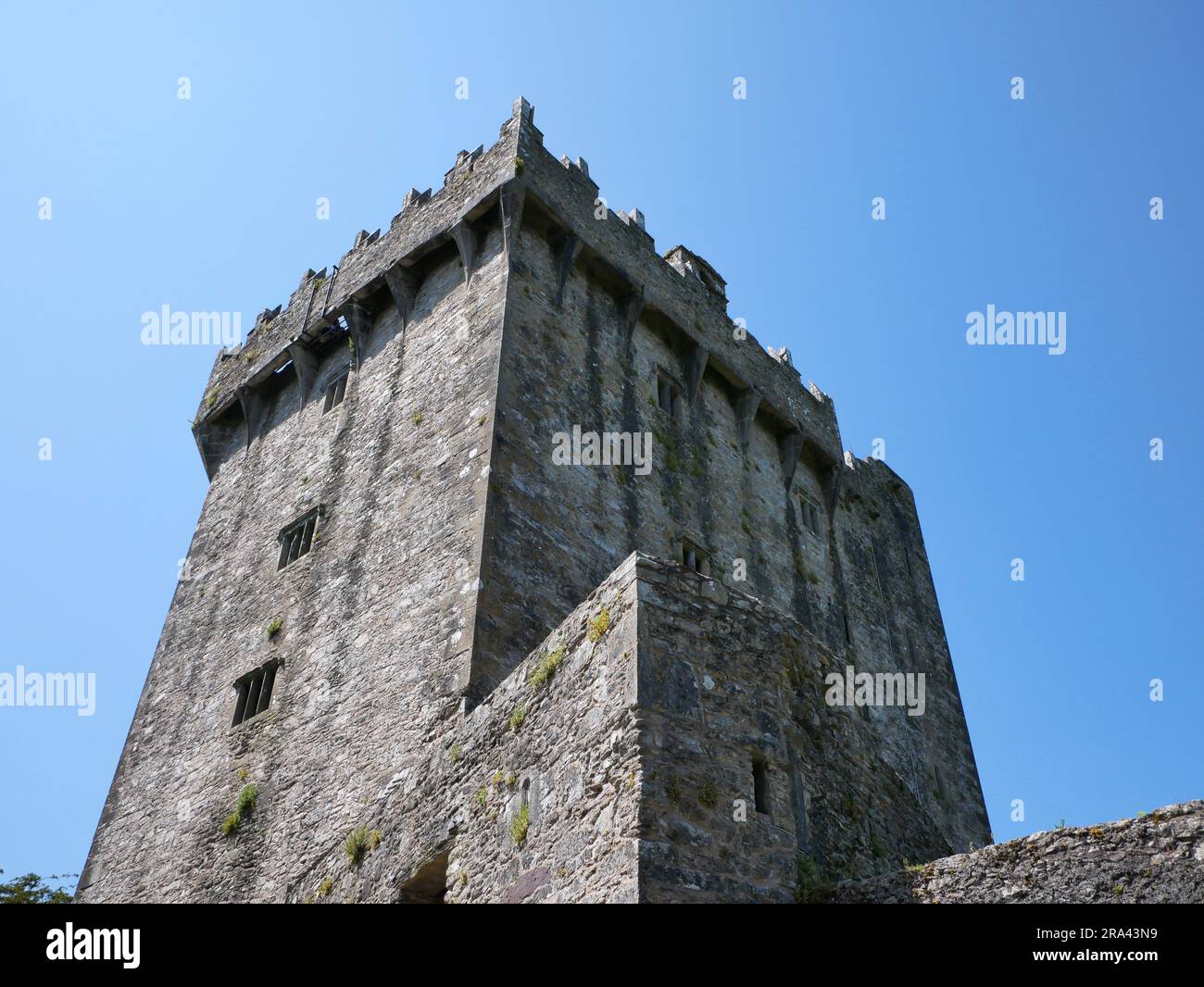 Ancient tower background, Blarney castle in Ireland, celtic fortress ...