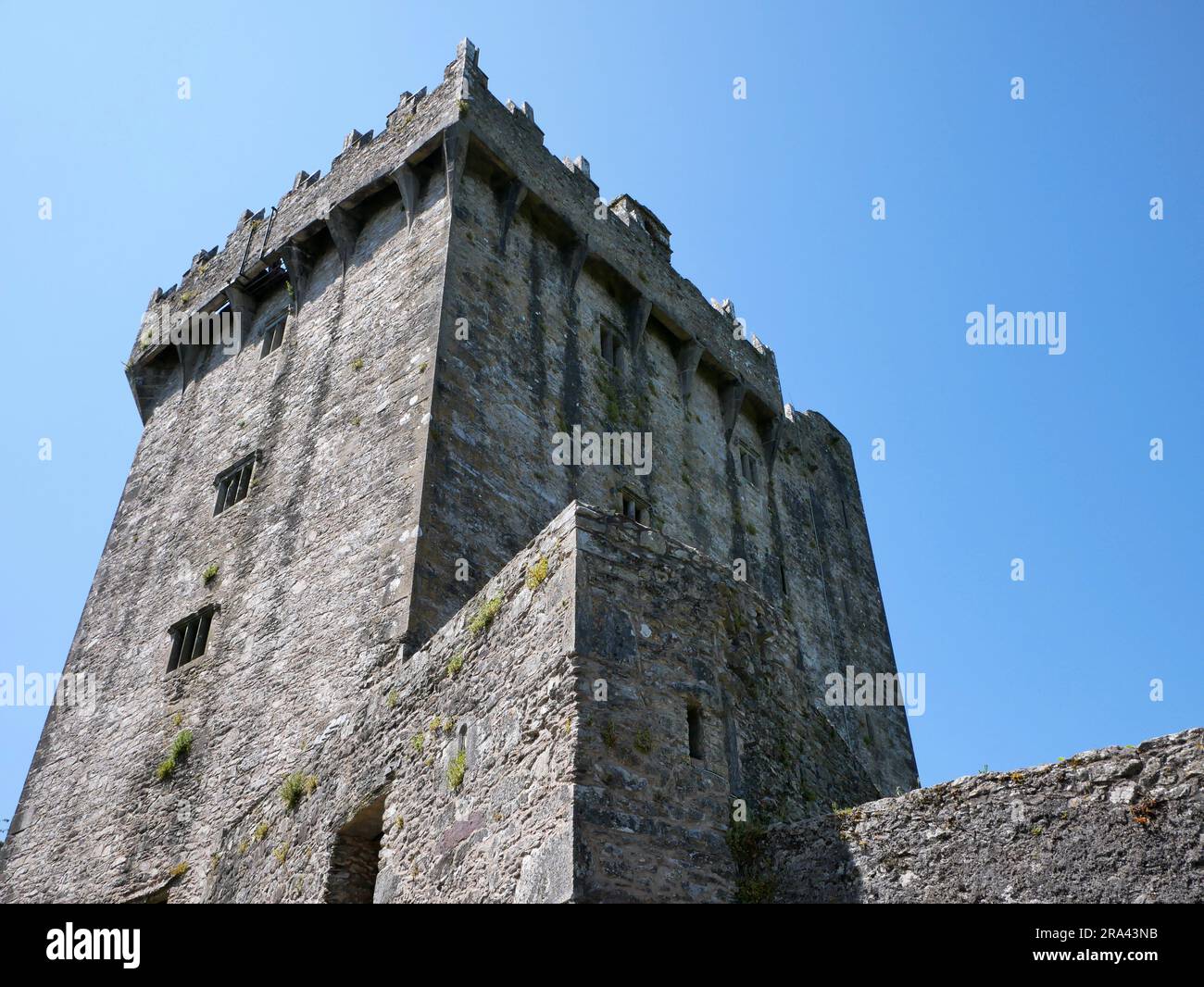 Ancient tower background, Blarney castle in Ireland, celtic fortress ...