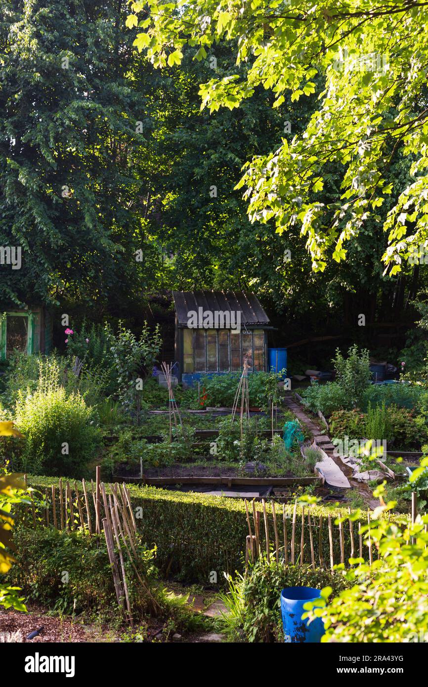Allotment day hi-res stock photography and images - Alamy