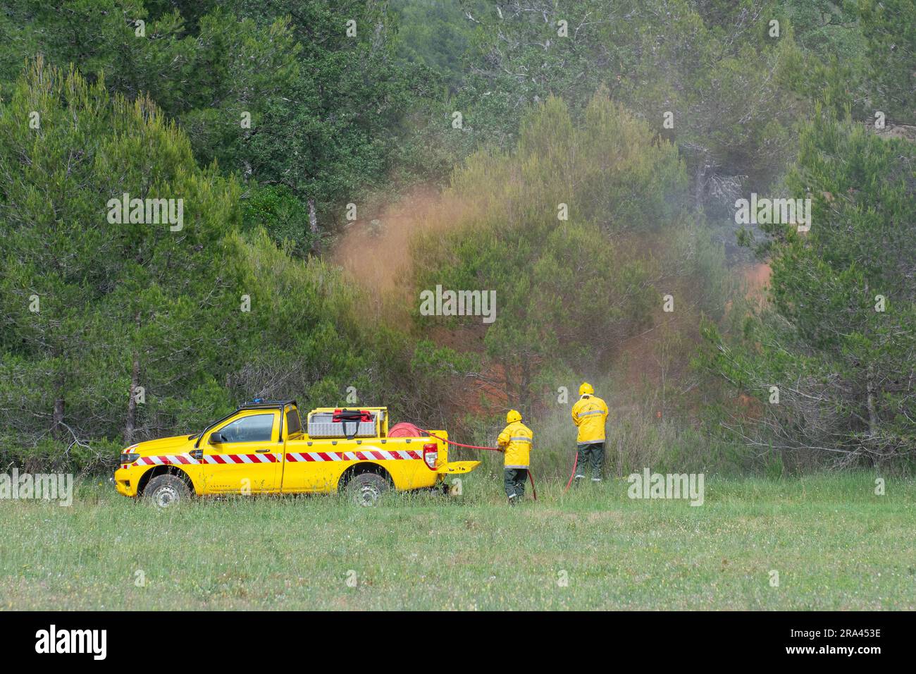 Members of fire-fighting units carry out training against forest fire ...