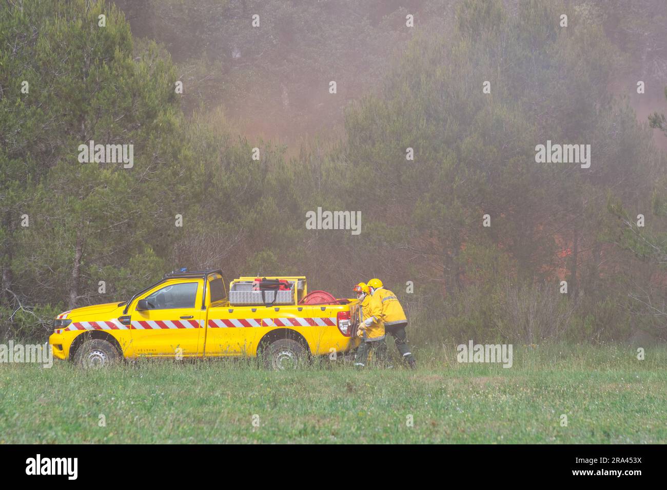 Members of fire-fighting units carry out training against forest fire ...