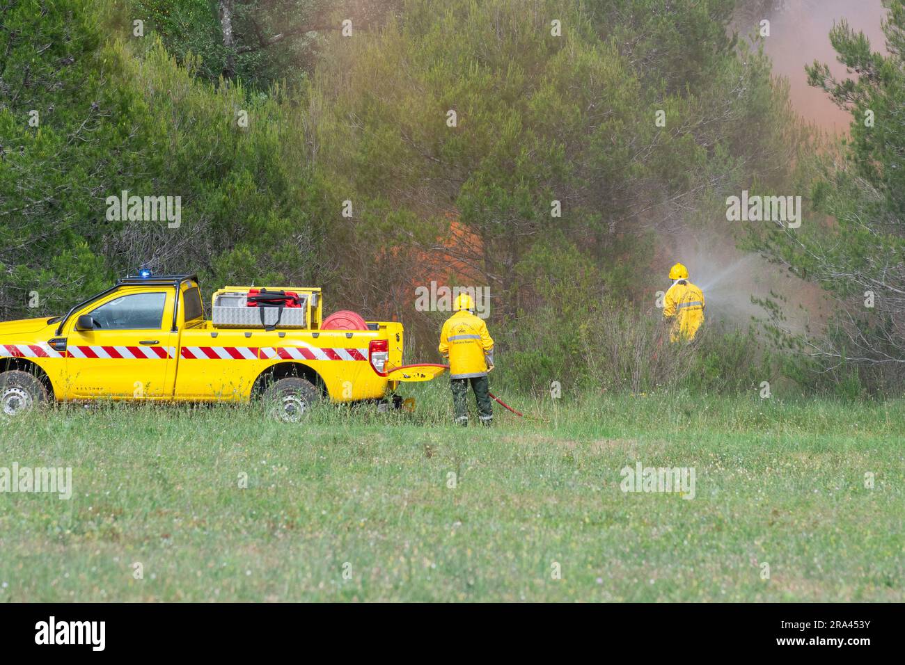 Members of fire-fighting units carry out training against forest fire ...
