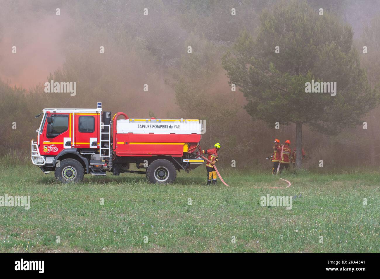 Members of fire-fighting units carry out training against forest fire ...