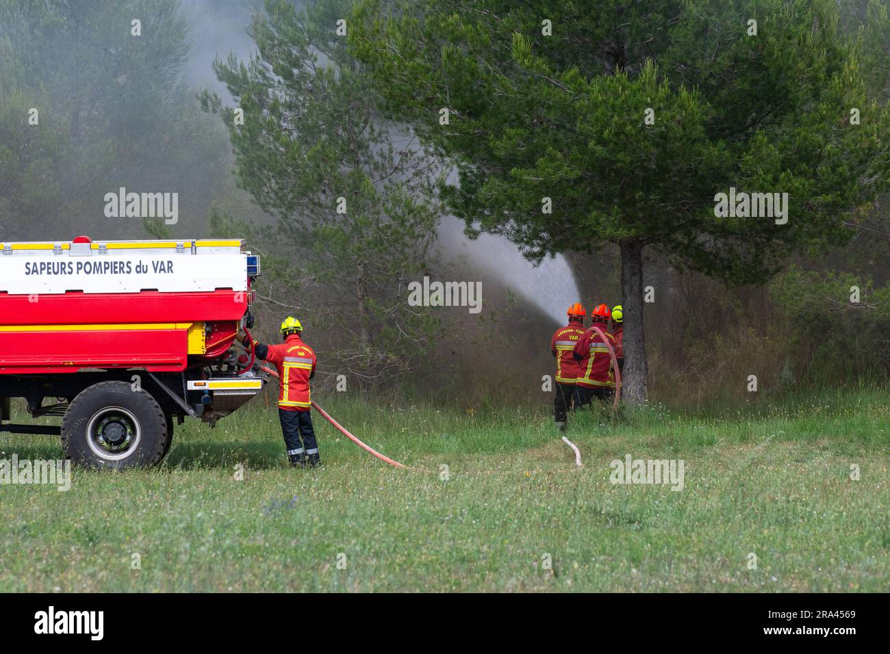 Members of fire-fighting units carry out training against forest fire ...