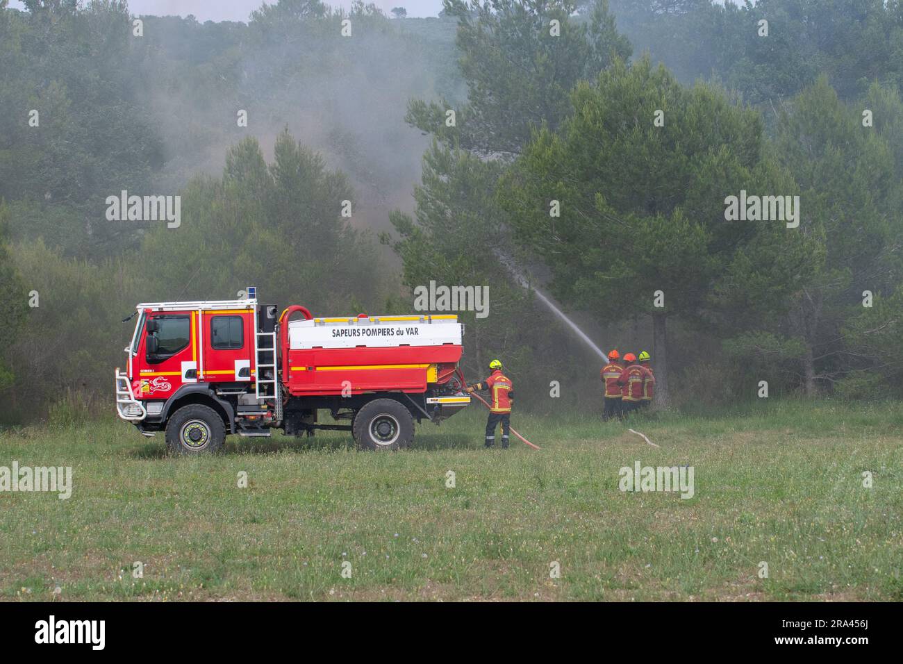 Members of fire-fighting units carry out training against forest fire ...
