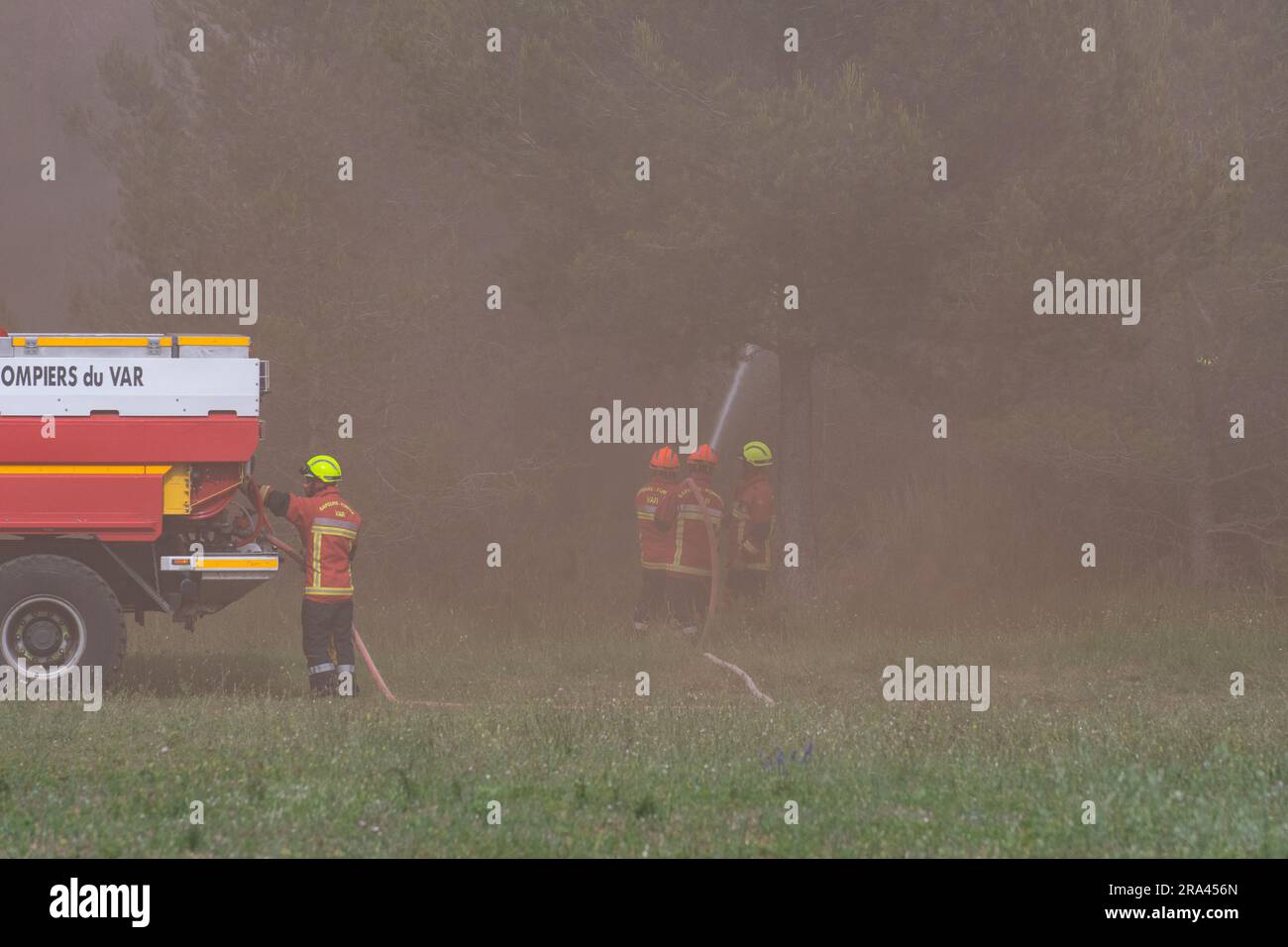 Members of fire-fighting units carry out training against forest fire ...