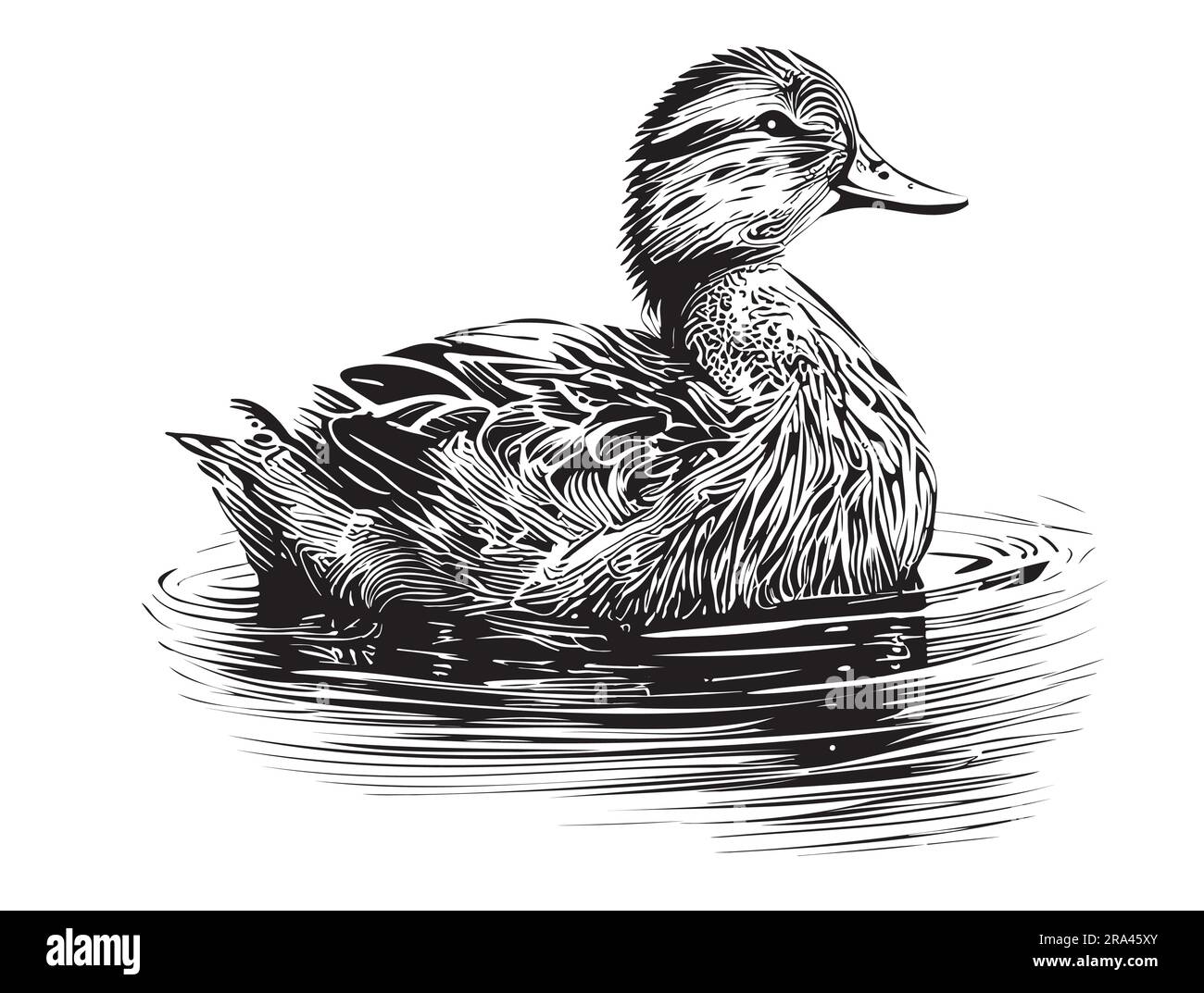 Duck sketch hand drawn in doodle style Hunting illustration Stock ...
