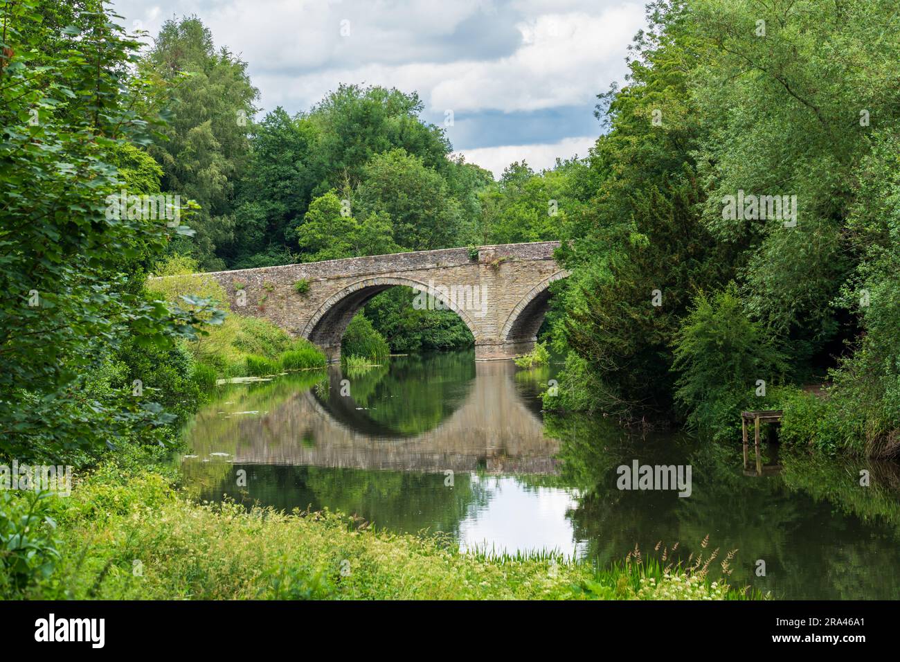Dinham Bridge and green foliage in Ludlow Shropshire reflecting in the ...