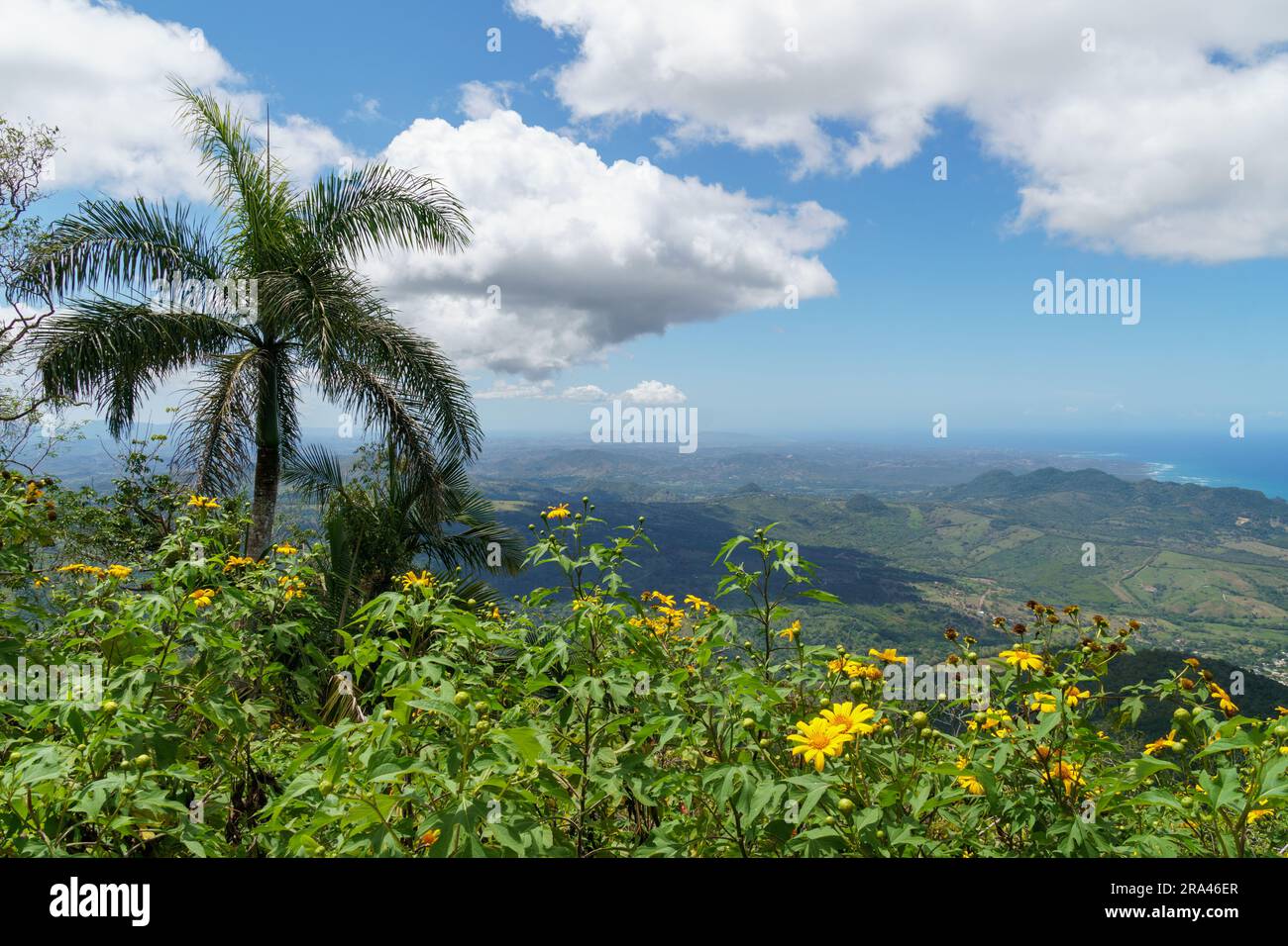 Beautiful viewpoint from the top of Mount Isabel de Torres with palm ...