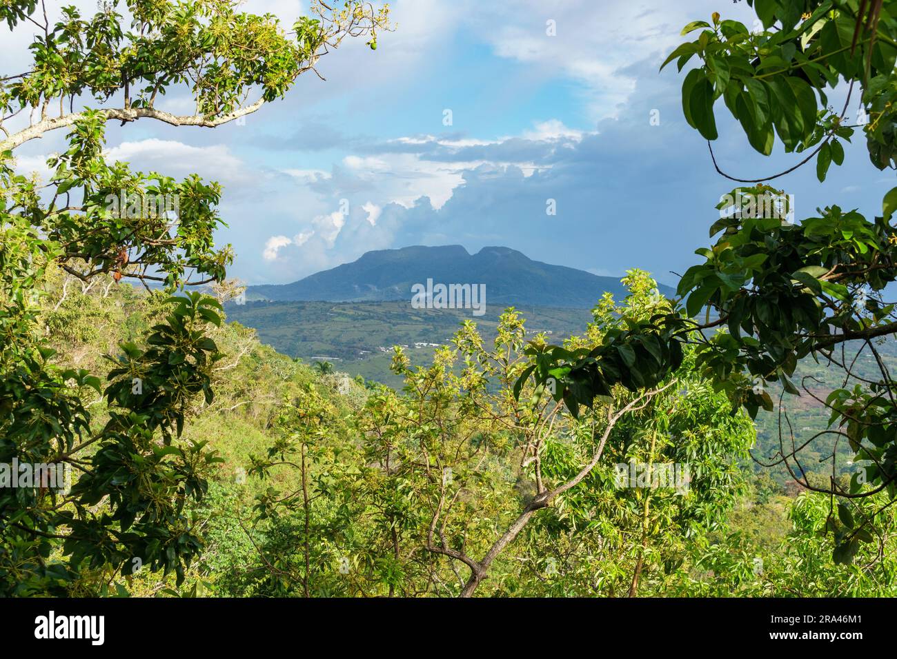Isabel de Torres mountain viewed through the jungle canopy in the ...
