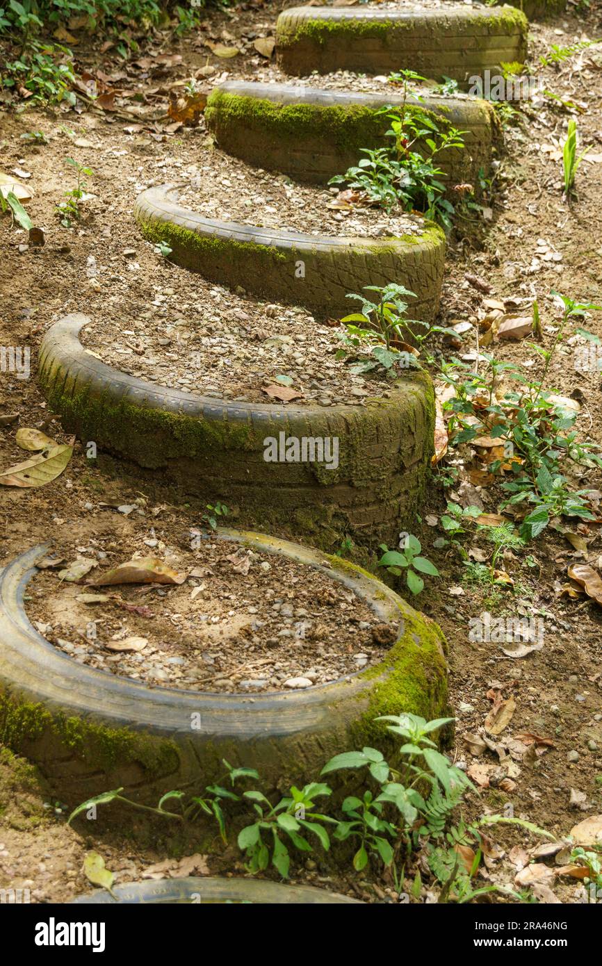 Steps made of old tires form a pathway in the woods. There is moss ...