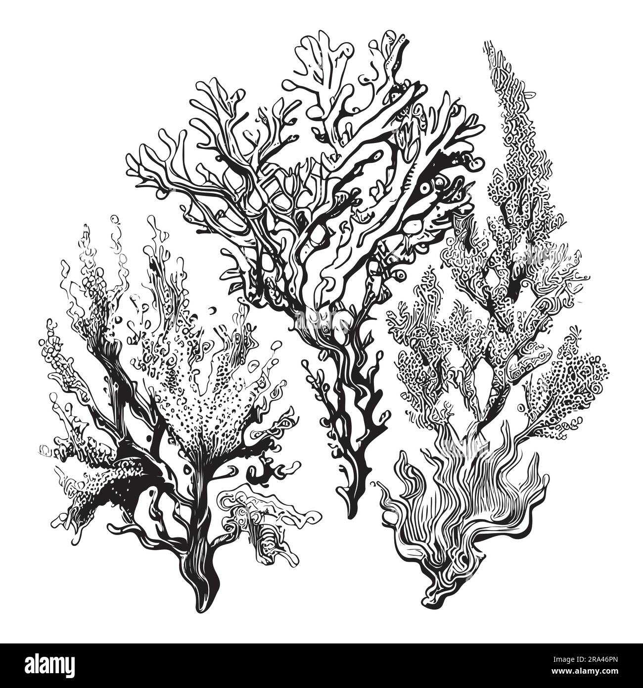 Corals sketch hand drawn in doodle style illustration Stock Vector ...