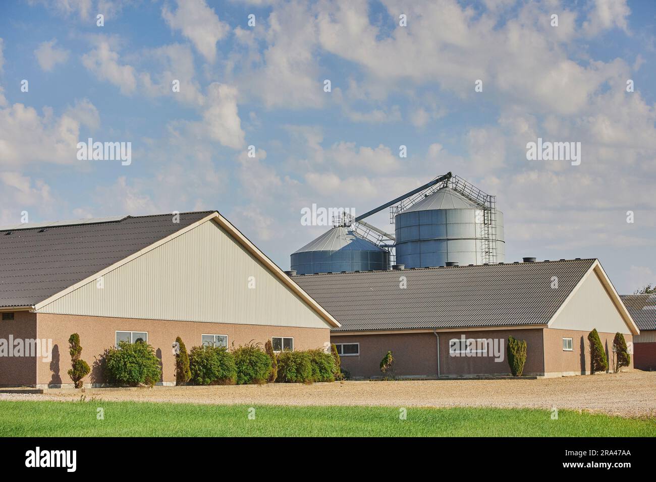Modern pig farm in Denmark. Rural landscape Stock Photo - Alamy