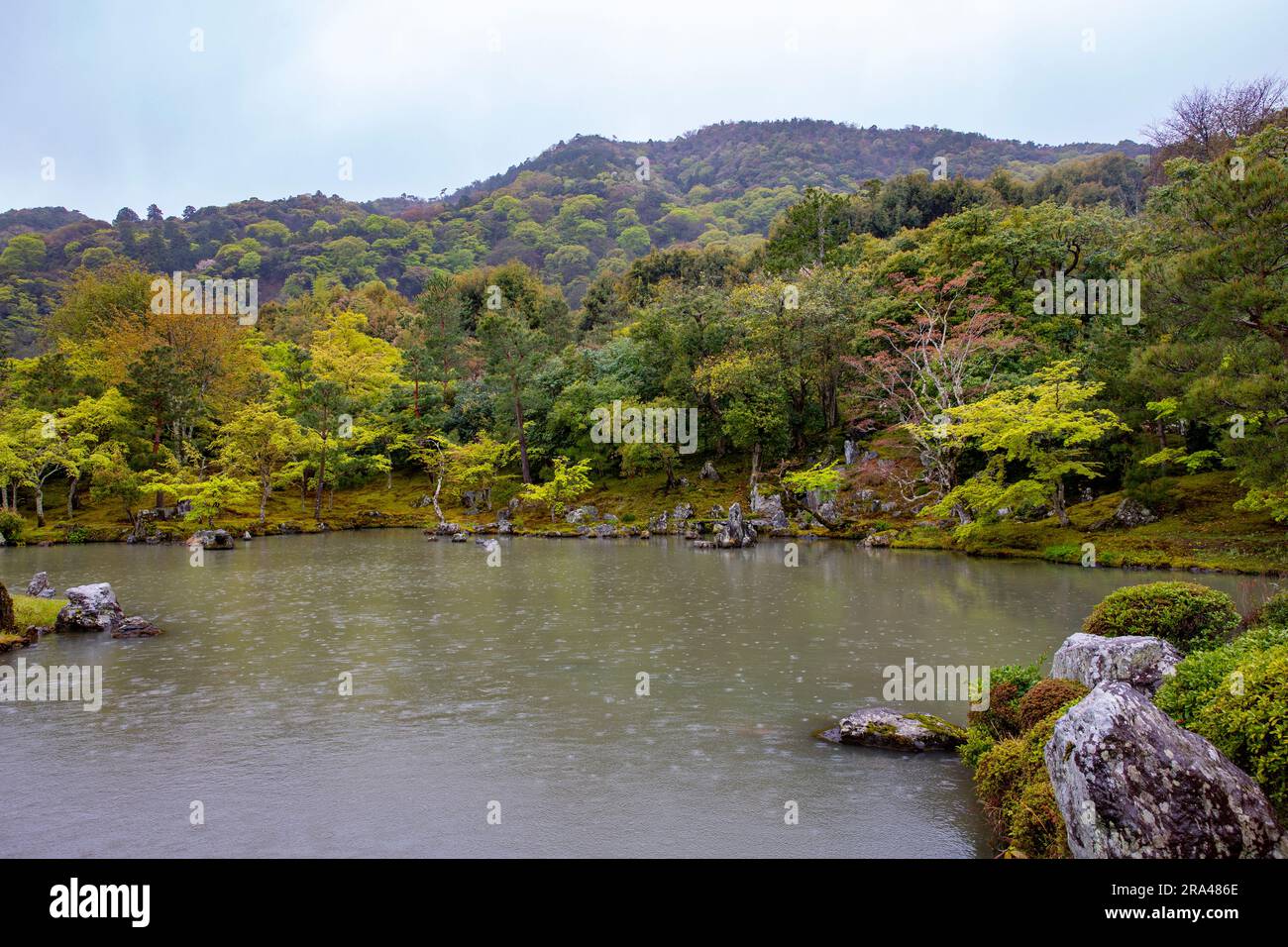 Kyoto,Japan,2023, Sogenchi Pond garden at World Heritage Tenryu-ji temple garden, UNESCO world ...