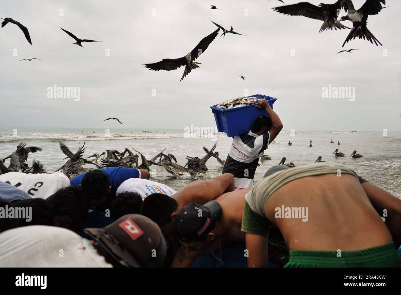Fisherman walks carrying fish box Stock Photo - Alamy