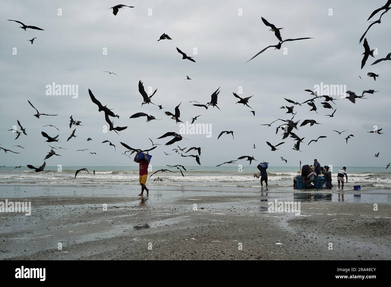 Fisherman walks carrying fish box Stock Photo - Alamy