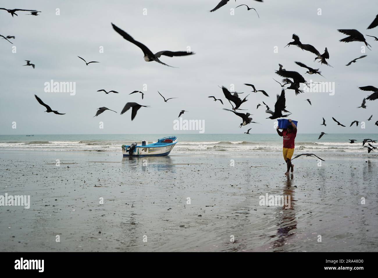 Fisherman walks carrying fish box Stock Photo - Alamy