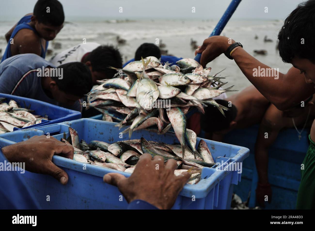 Fishing boat putting to sea hi-res stock photography and images - Alamy