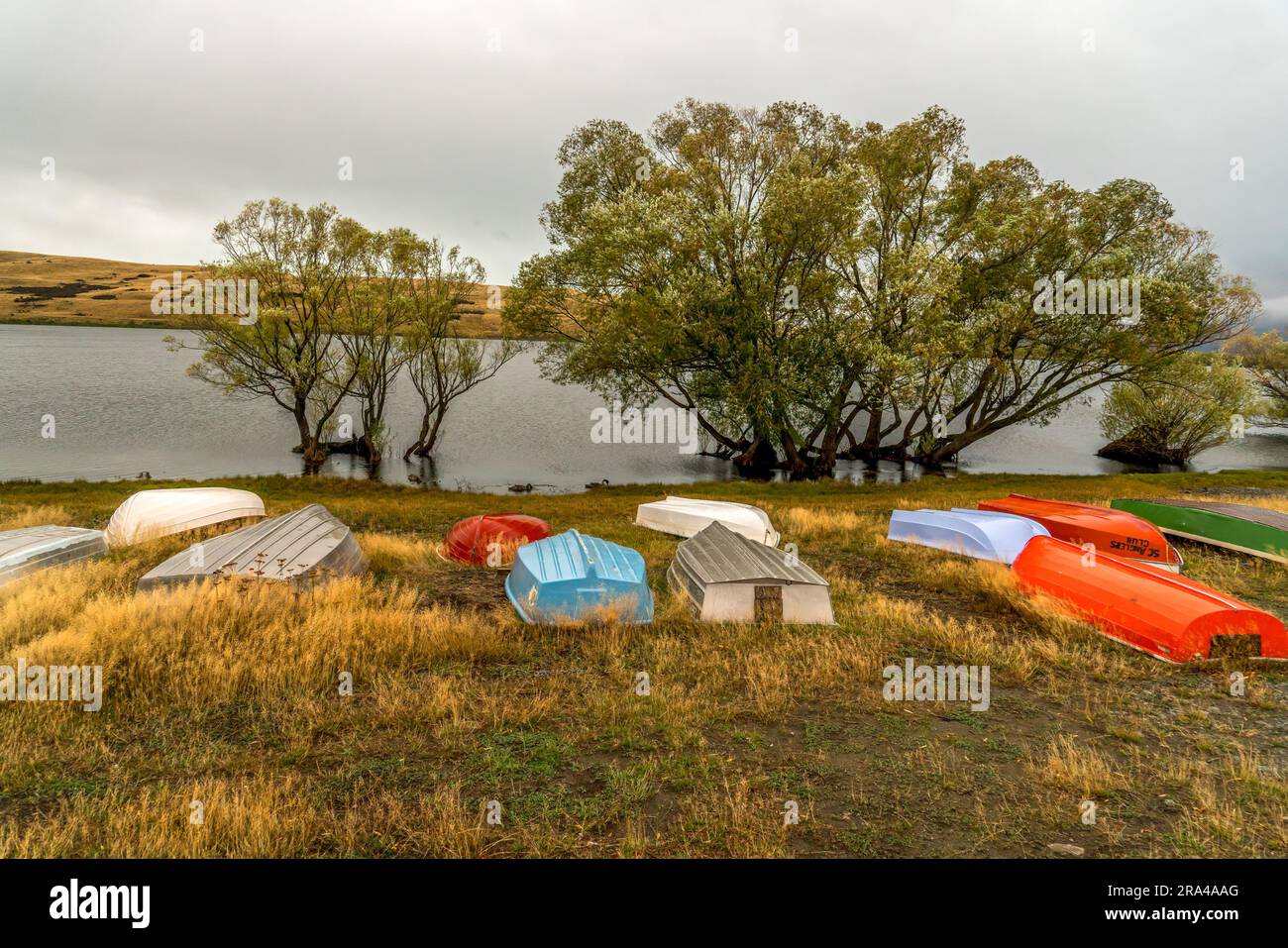 A row of colourful upturned rowing boats under the trees on the shore ...